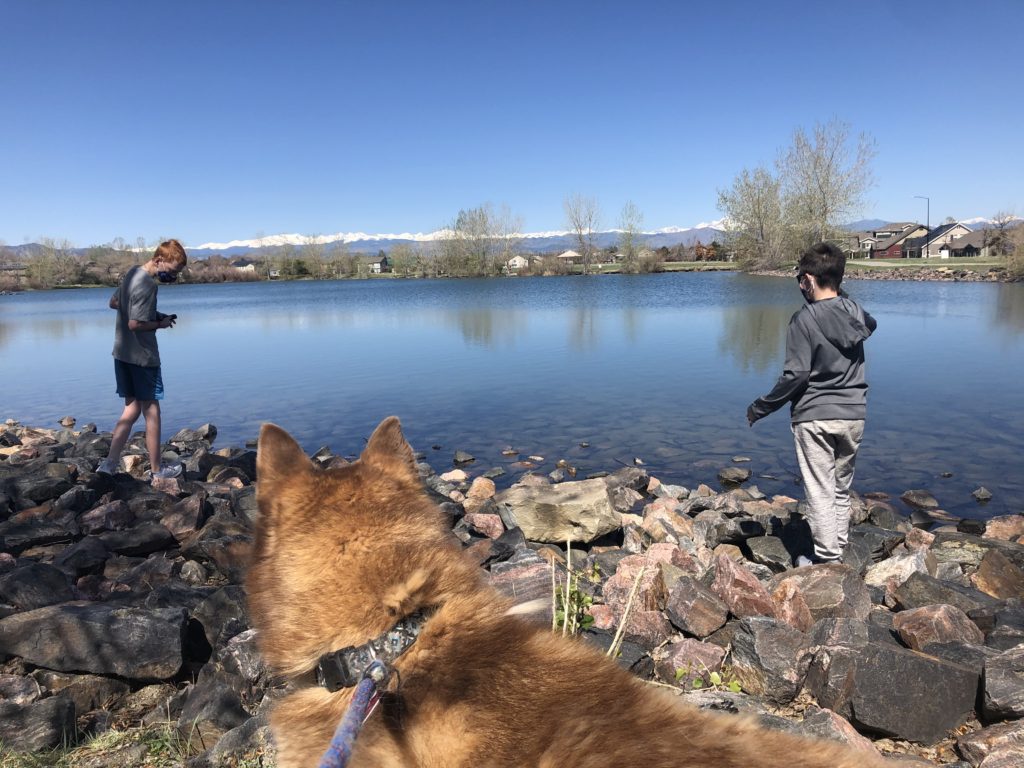 Local Colorado Foods - Crunchy Beach Mama