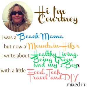 Wildgrain Box Review - How Much is in Each Box? - Crunchy Beach Mama